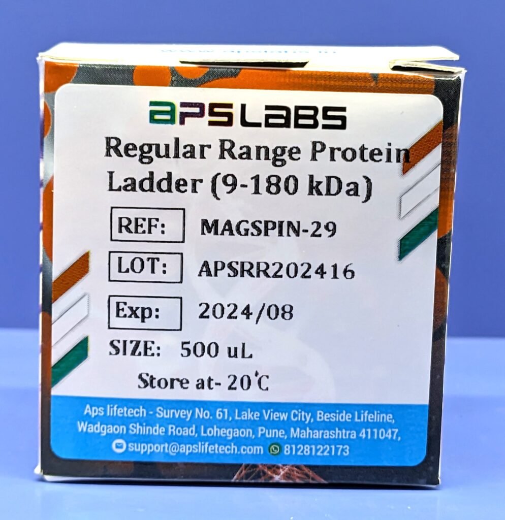 Regular Range Protein Ladder (9-180 kDa) – APS LABS